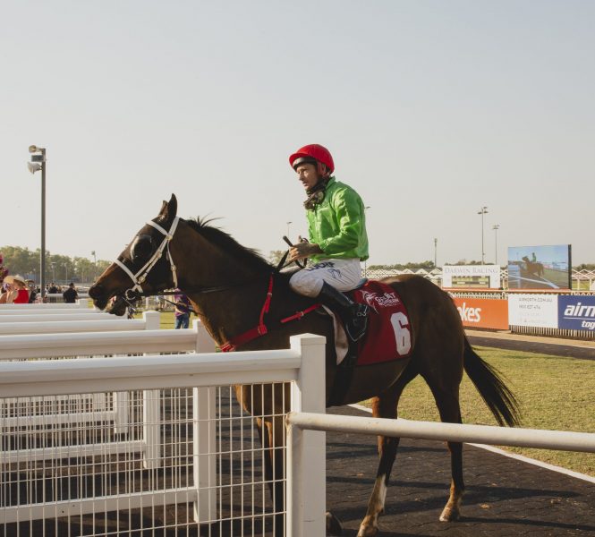 About » Darwin Turf Club