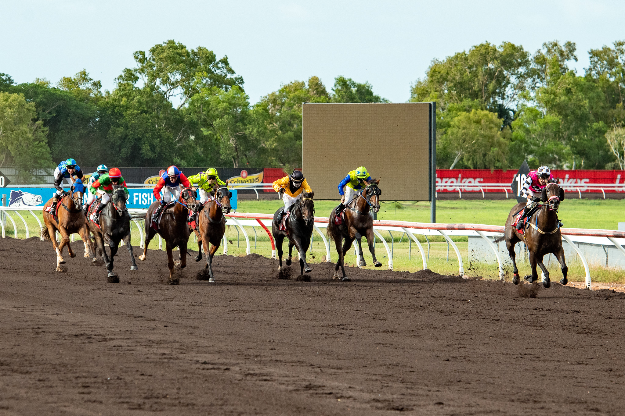 Racing in isolation in the Northern Territory » Darwin Turf Club