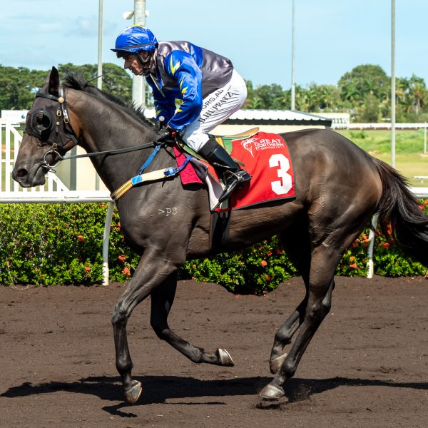 Home » Darwin Turf Club