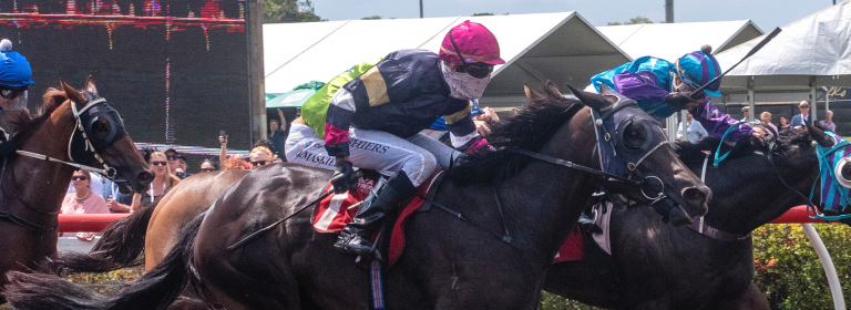 Milestone day at Fannie Bay » Darwin Turf Club
