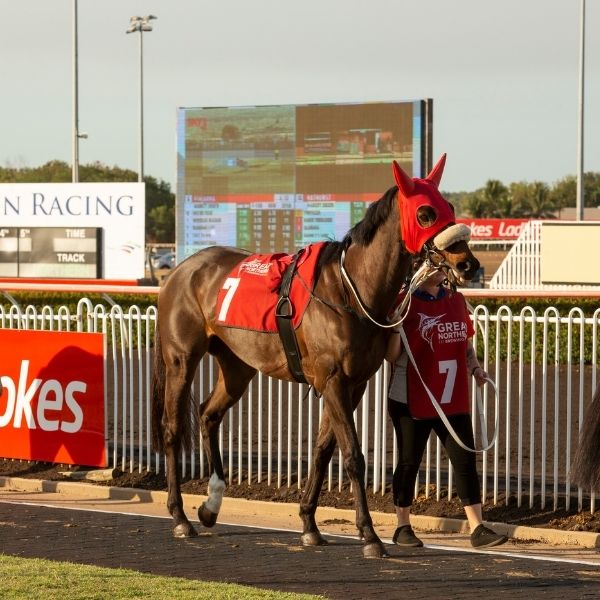 Home » Darwin Turf Club