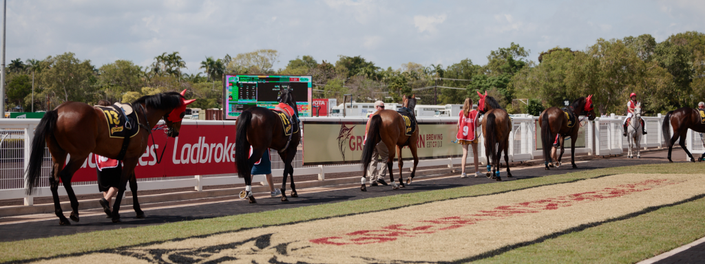 SATURDAY RACING - 24 MAY » Darwin Turf Club