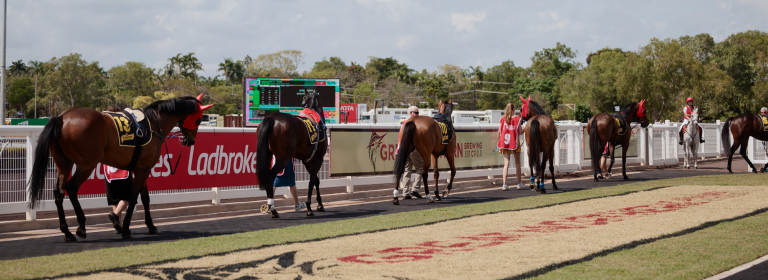 SATURDAY RACING - 21 JUNE » Darwin Turf Club