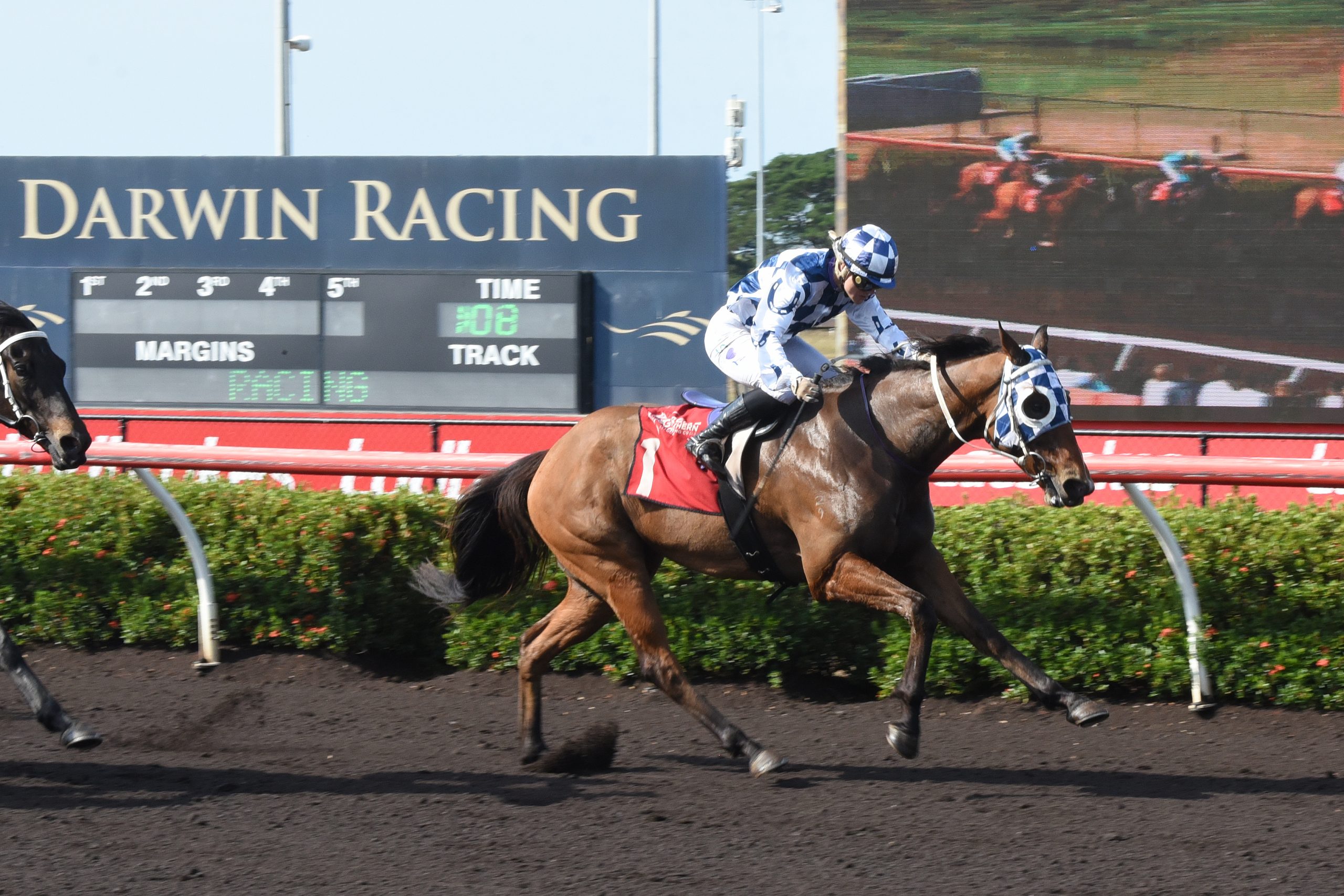 THIRD TIME'S A CHARM FOR CANNONBALL » Darwin Turf Club
